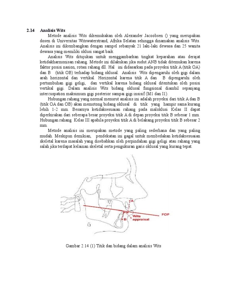 Analisis Wits | PDF