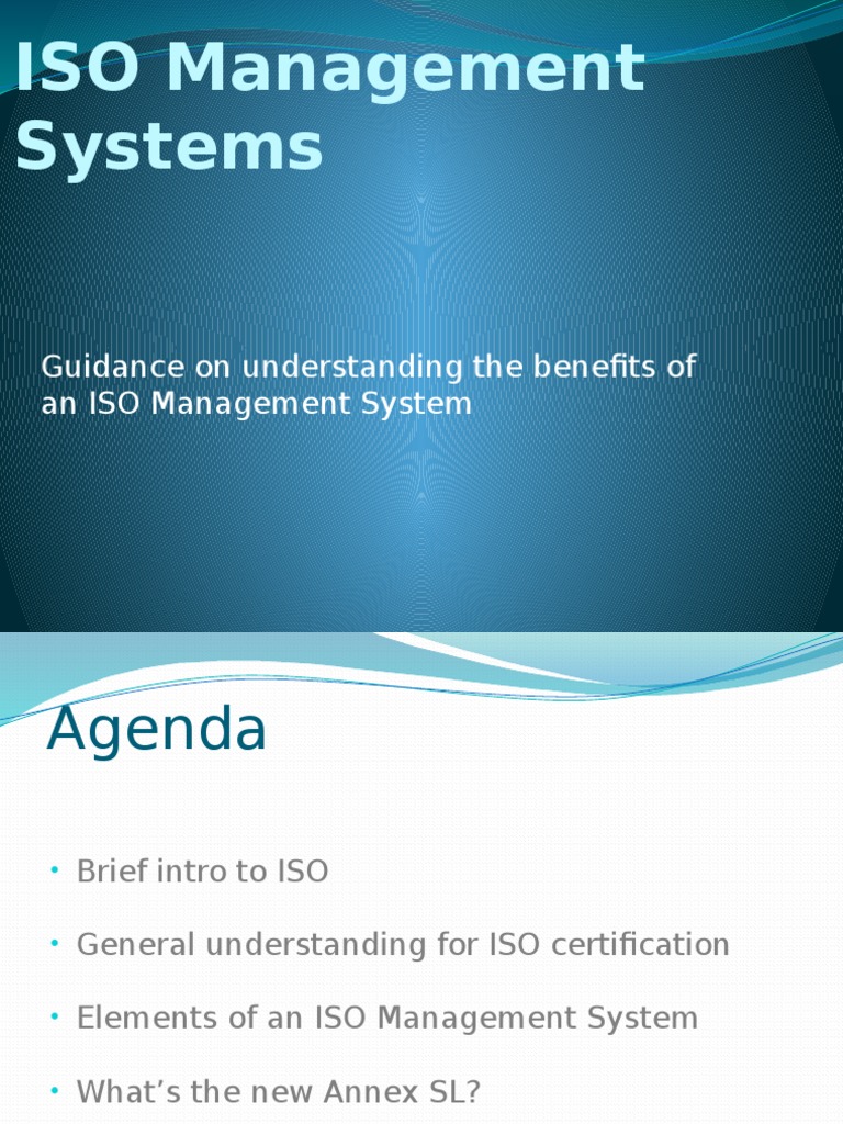 ISO | PDF | Iso 9000 | Audit