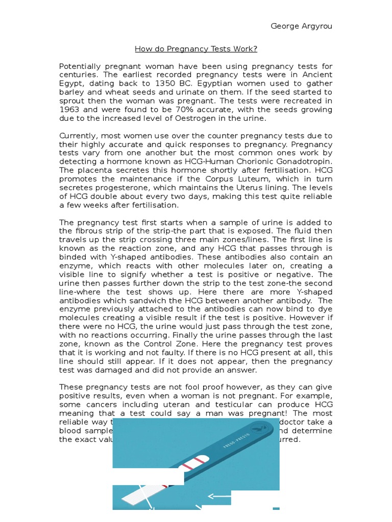 How Pregnancy Tests Detect HCG | PDF | Human Chorionic Gonadotropin ...