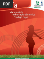Código Rojo en Obstétricia | PDF | Enfermedades y trastornos humanos ...
