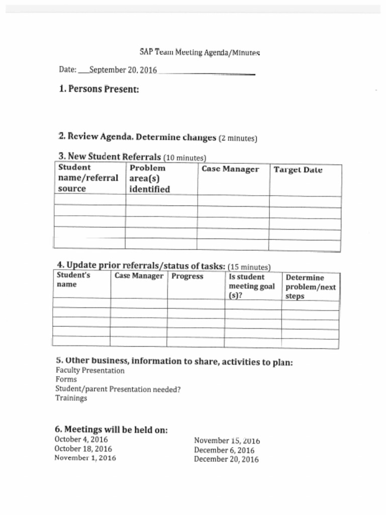 Sap Team Meeting Agenda | PDF