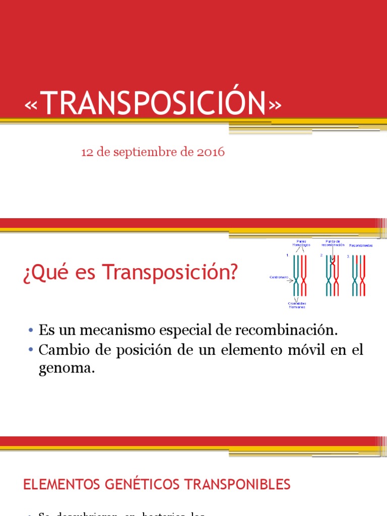 Transposición | Elemento transponible | Adn