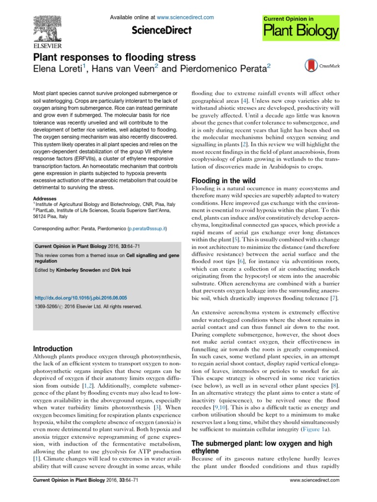 05. Plant responses to flooding stress.pdf | Cellular Respiration ...