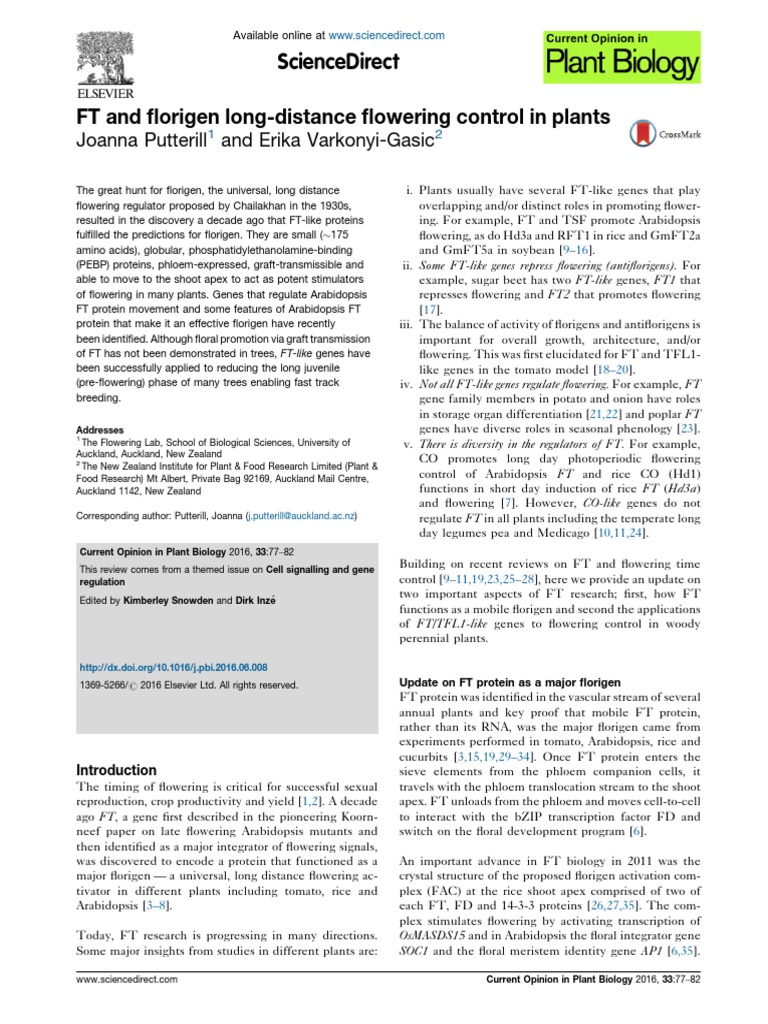 FT and Florigen Long-Distance Flowering Control in Plants PDF | PDF | Grafting | Arabidopsis ...