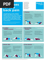 Spine Conditioning Program - OrthoInfo - AAOS | PDF | Anatomical Terms ...