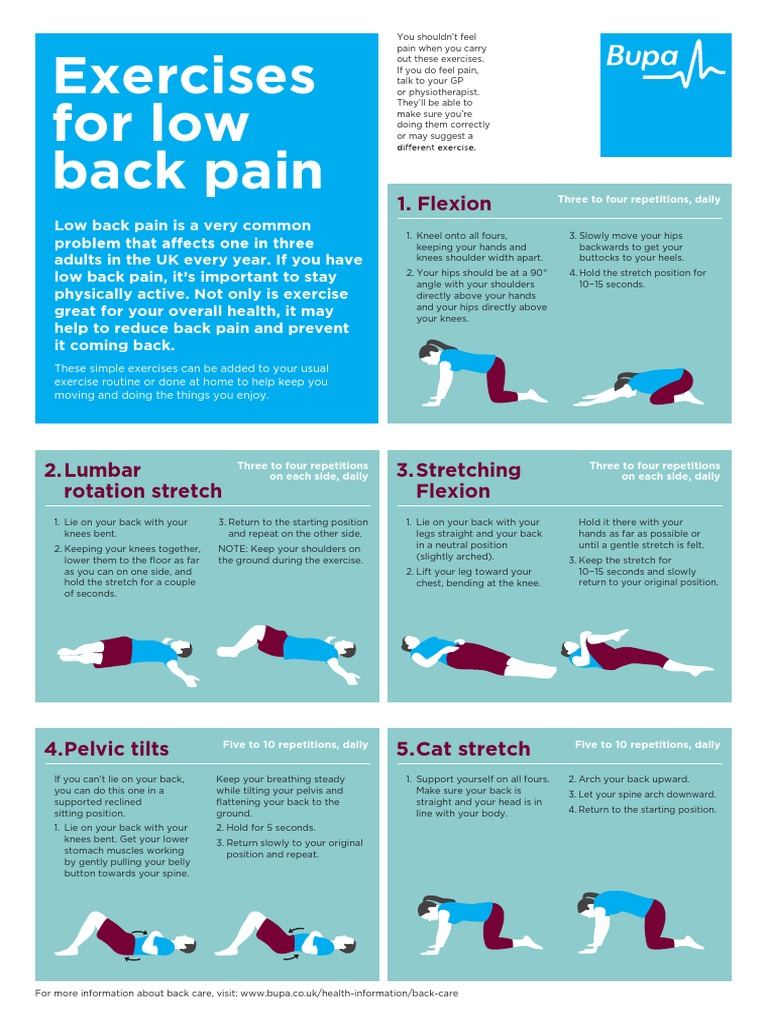 Exercises For Low Back Pain: 1. Flexion | PDF
