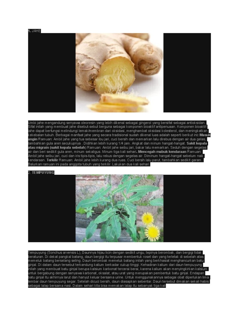 Buku Saku TOGA | PDF