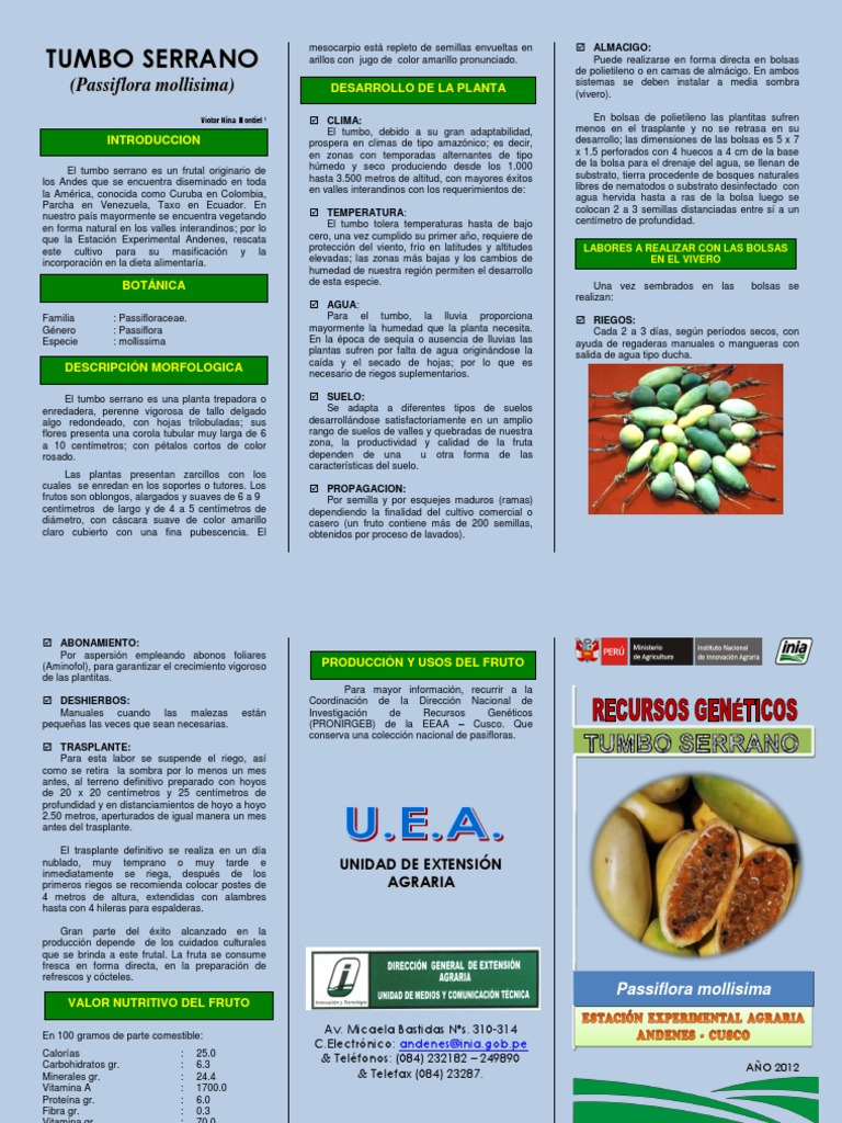 Tumbo Serrano | PDF | Botánica | Plantas Domesticadas