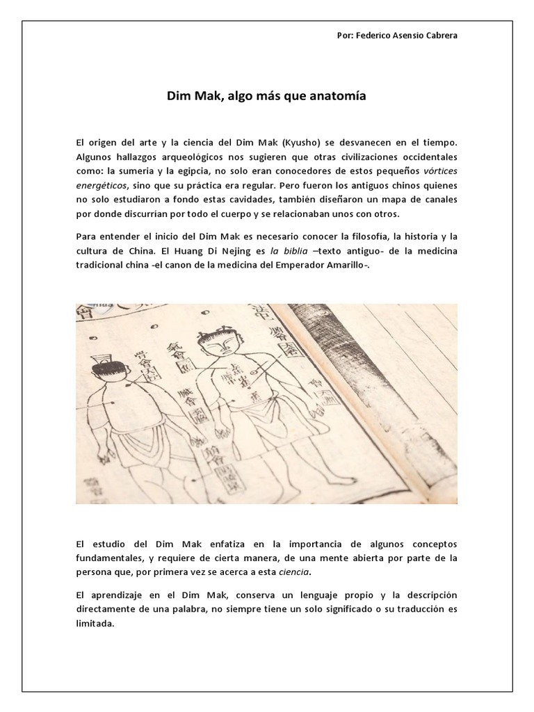 Dim Mak, Algo Más Que Anatomia | PDF