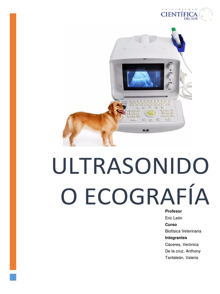 Ultrasonido y Ecografia | PDF | Ultrasonido médico | Efecto Doppler