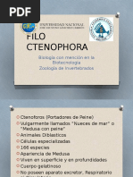 Ctenóforos | PDF | Anatomía | Zoología