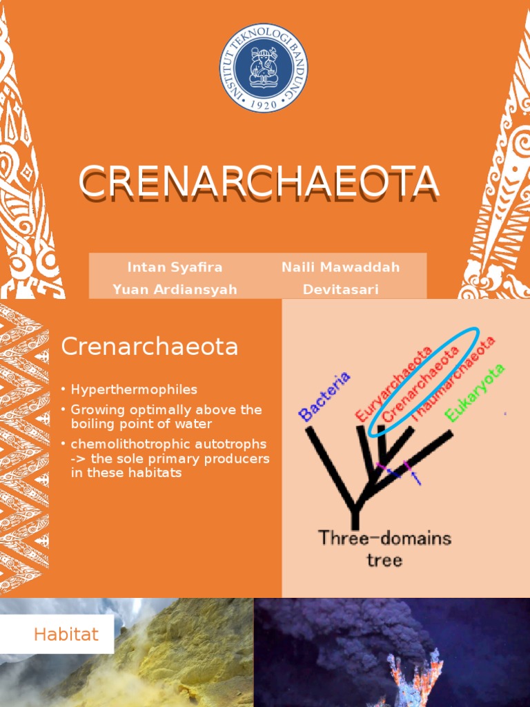 Crenarchaeota: Hyperthermophilic Archaea | PDF