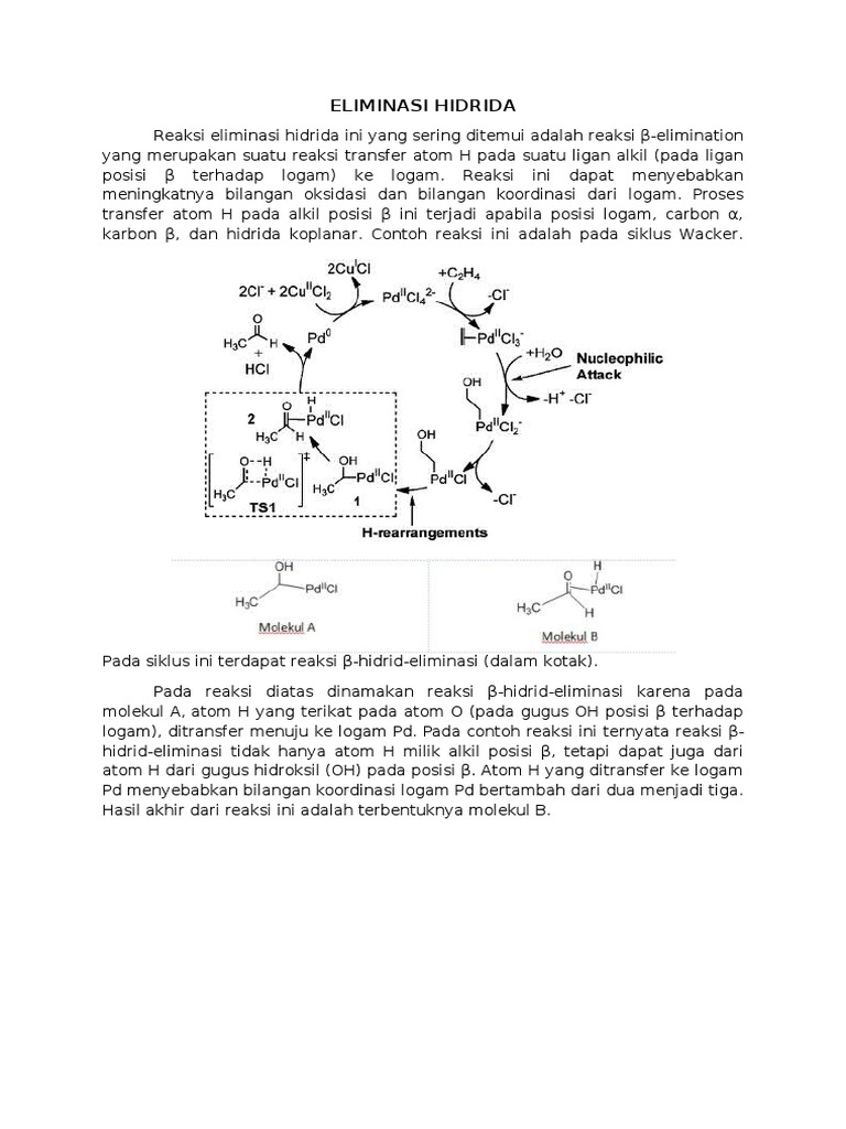 Reaksi Beta-Hidrid-Eliminasi pada Logam | PDF | Seni | Sains & Matematika