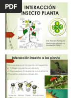 PRÁCTICA 1 - Colecta de Insectos | PDF | Insectos | Laboratorios
