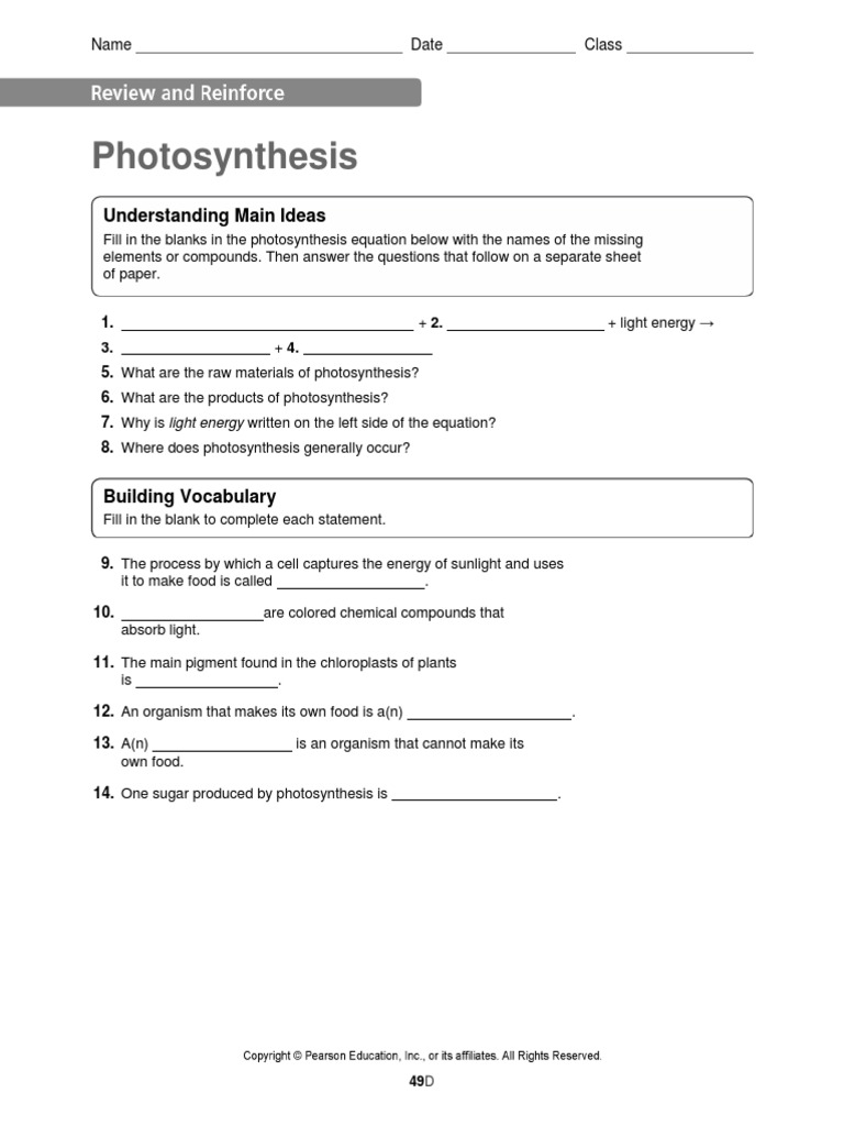 Chapter 2 Lesson 1 | PDF