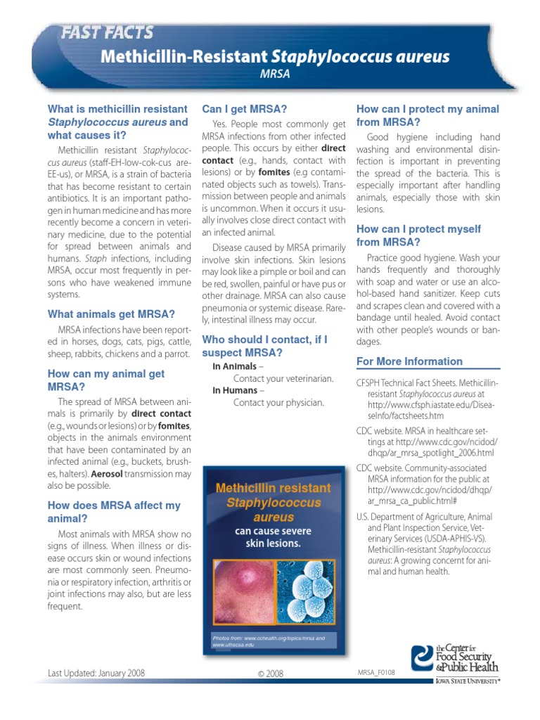 Mrsa | PDF | Methicillin Resistant Staphylococcus Aureus ...