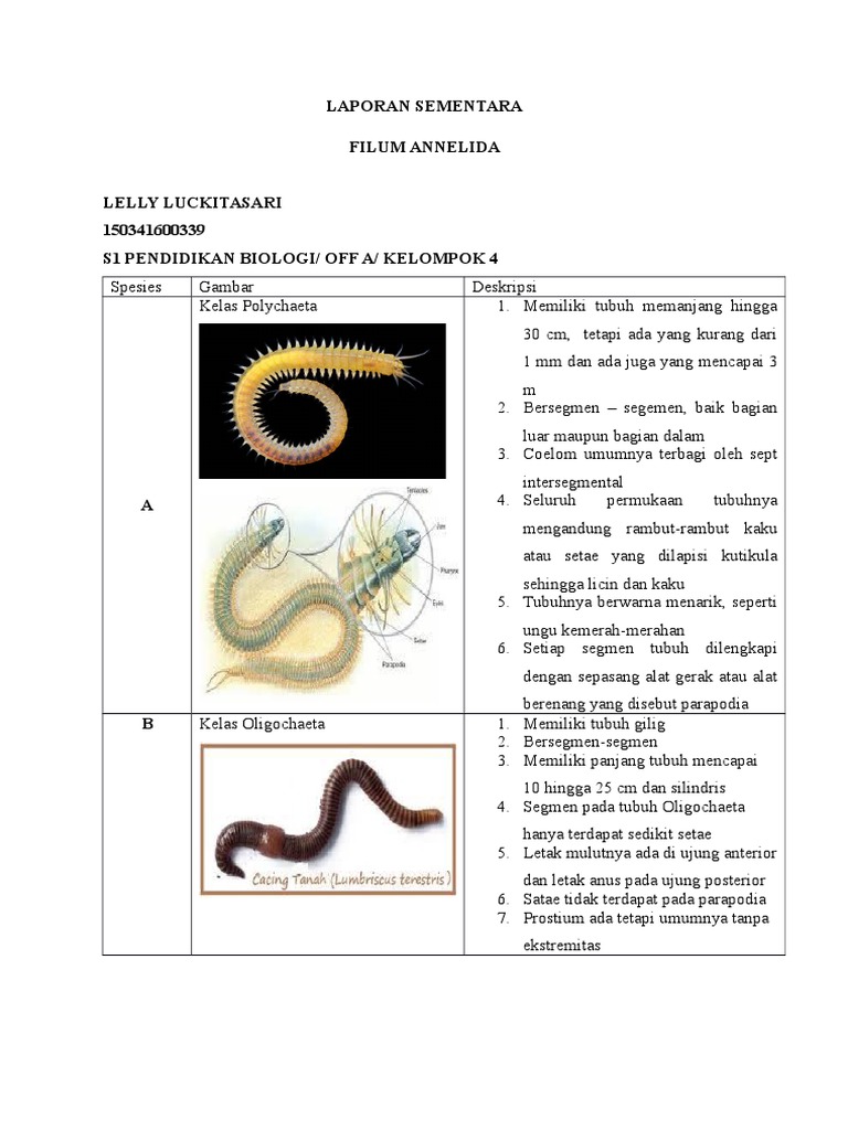 Laporan Sementara Annelida | PDF
