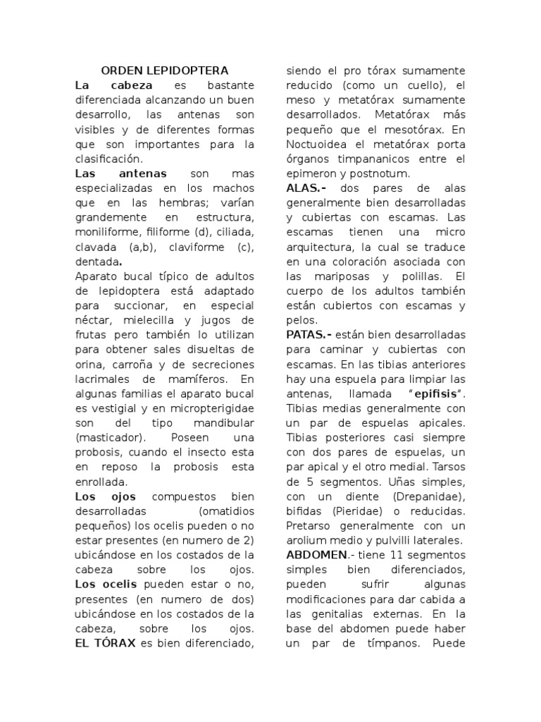 Características de Insectos: Lepidoptera, Coleoptera, Orthoptera y ...