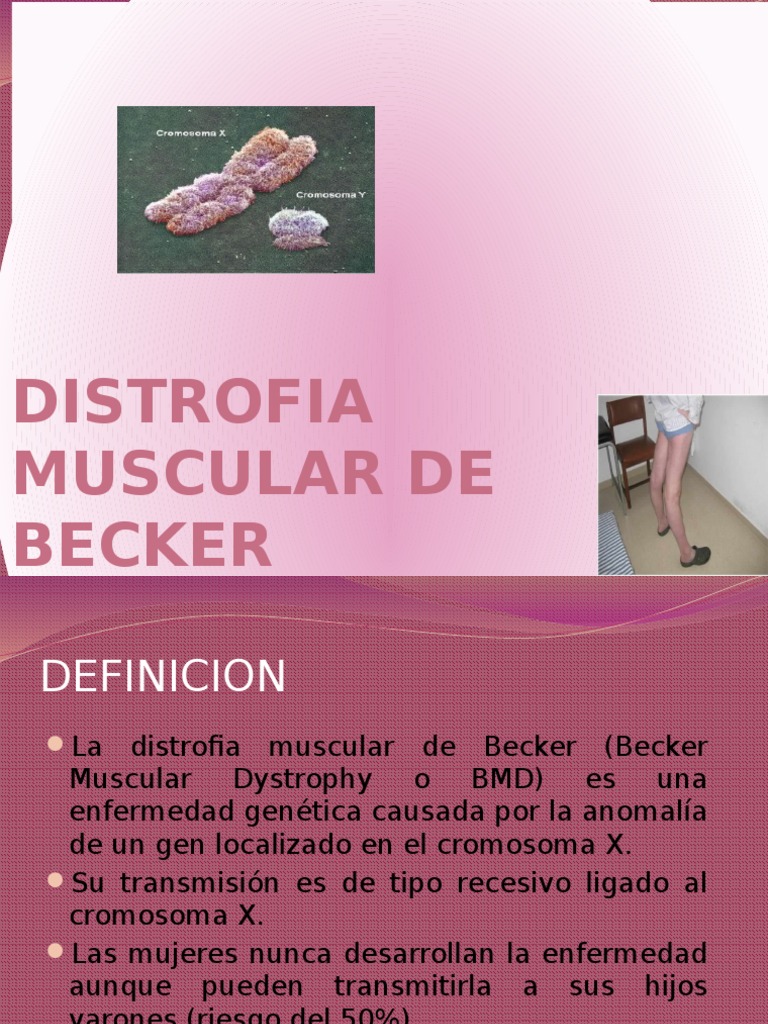 Distrofia Muscular de Becker | PDF | Biología | Enfermedades y trastornos