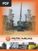 P-EDMS - ProjectList & Status 2 | PDF