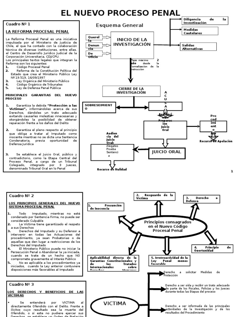 El Nuevo Proceso Penal Esquema | Procedimiento Criminal | Juez