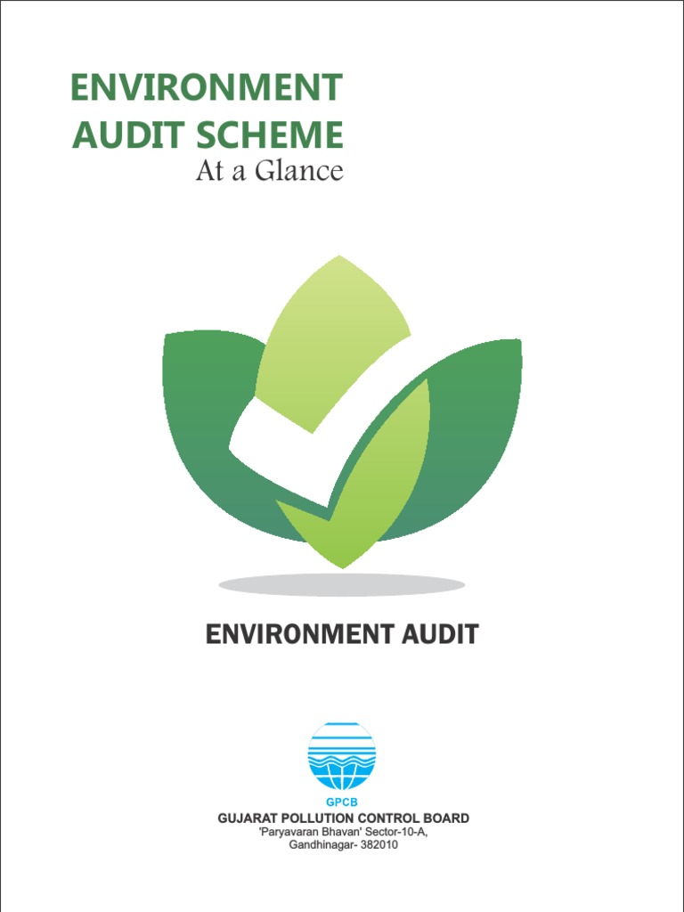 Environment Audit Scheme | Auditor's Report | Audit