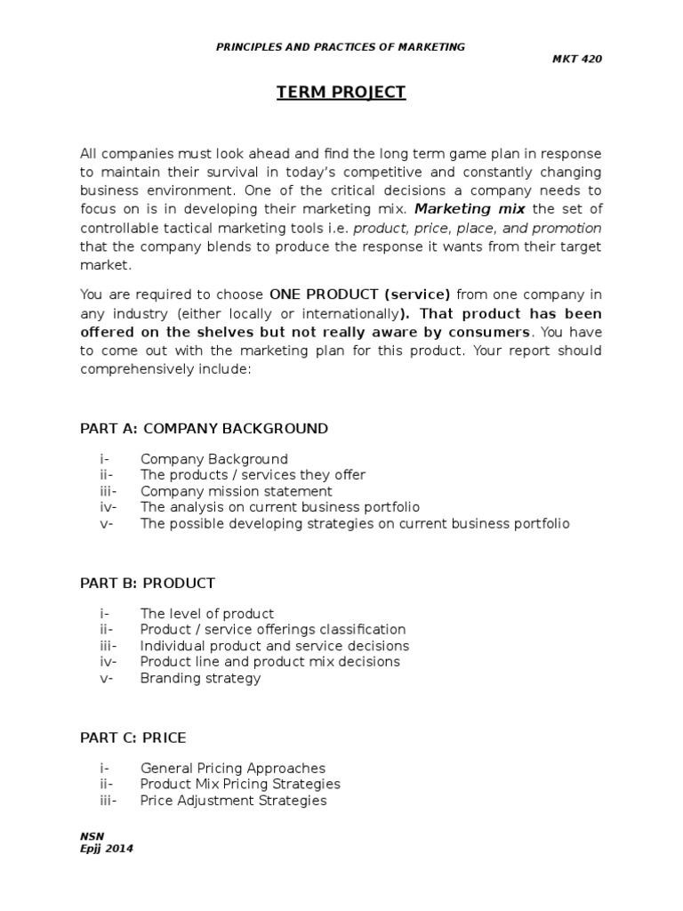 Group Project Paper - MKT420 | PDF