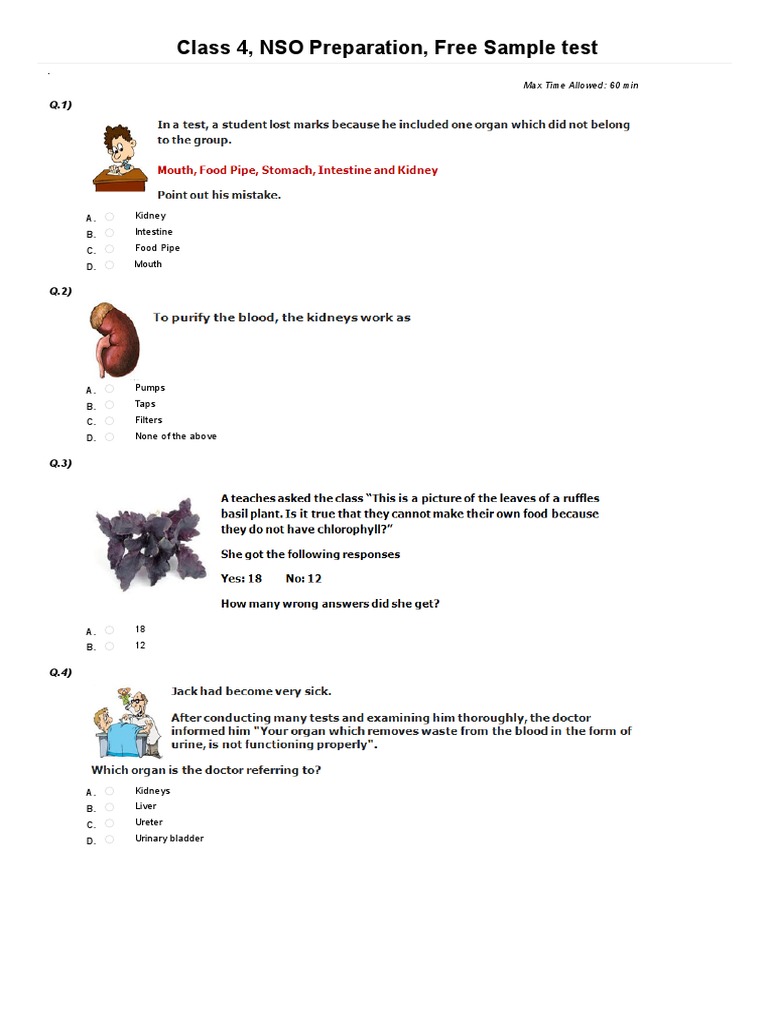 Class 4, NSO Preparation, Free Sample Test: Kidney Intestine Food Pipe ...