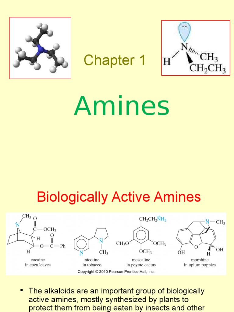 Chapter 1 Amine in Class | PDF | Amine | Amide