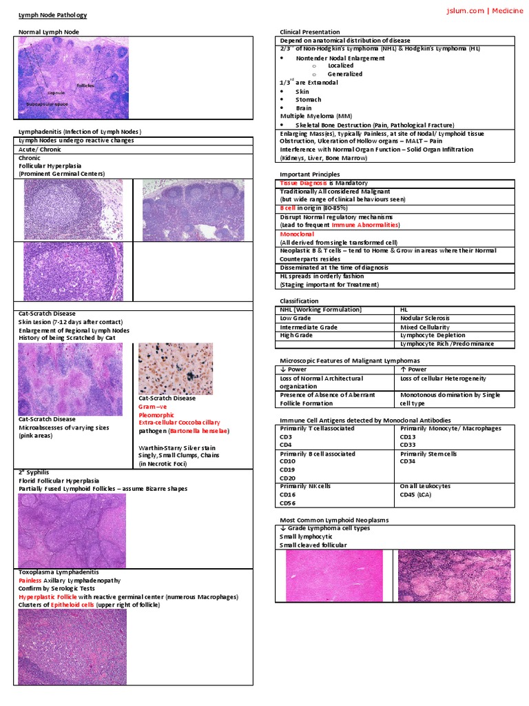Lymph Node Pathology PDF | PDF | Lymphoma | Lymphatic System
