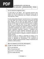 SESIÓN DE 5° Leemos y Comprendemos Un Texto "El Día Del Niño" | PDF | Comprensión lectora ...