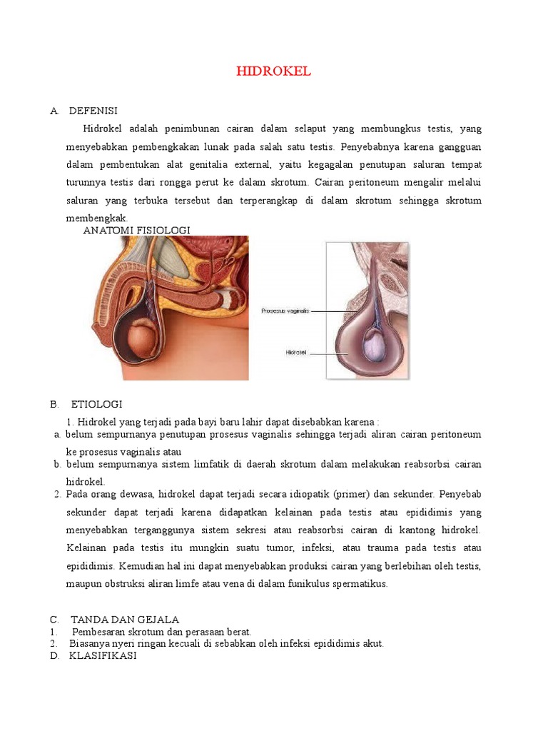 HIDROKEL | PDF | Sains & Matematika