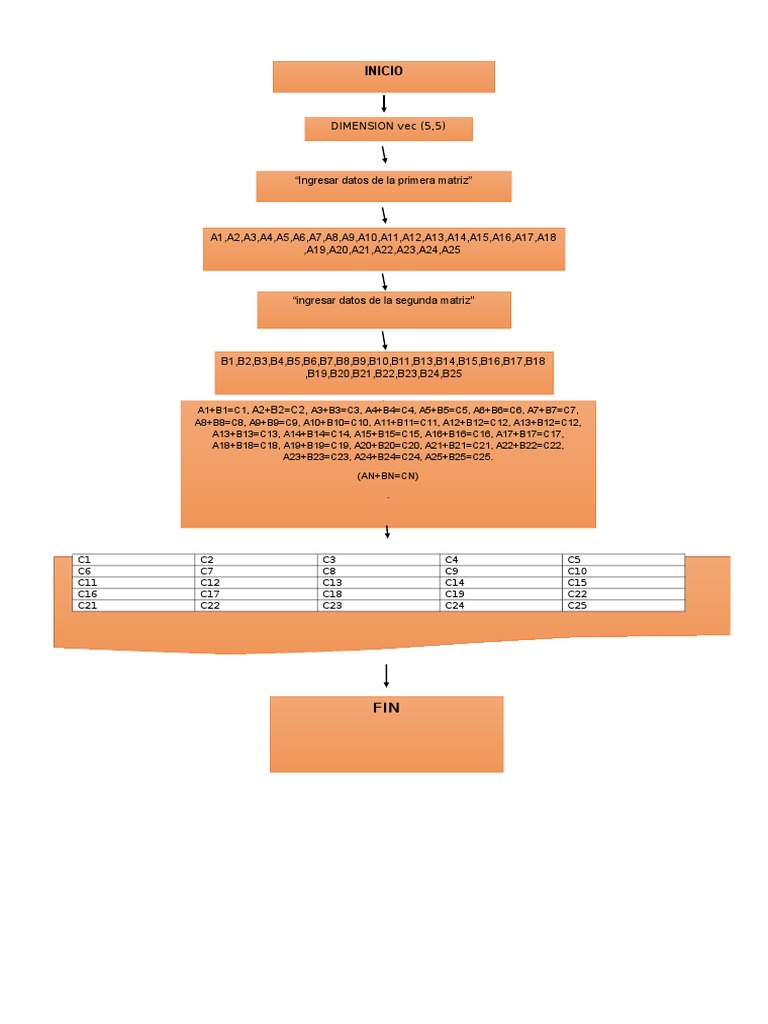 Diagrama de Flujo Matriz 5x5 | PDF