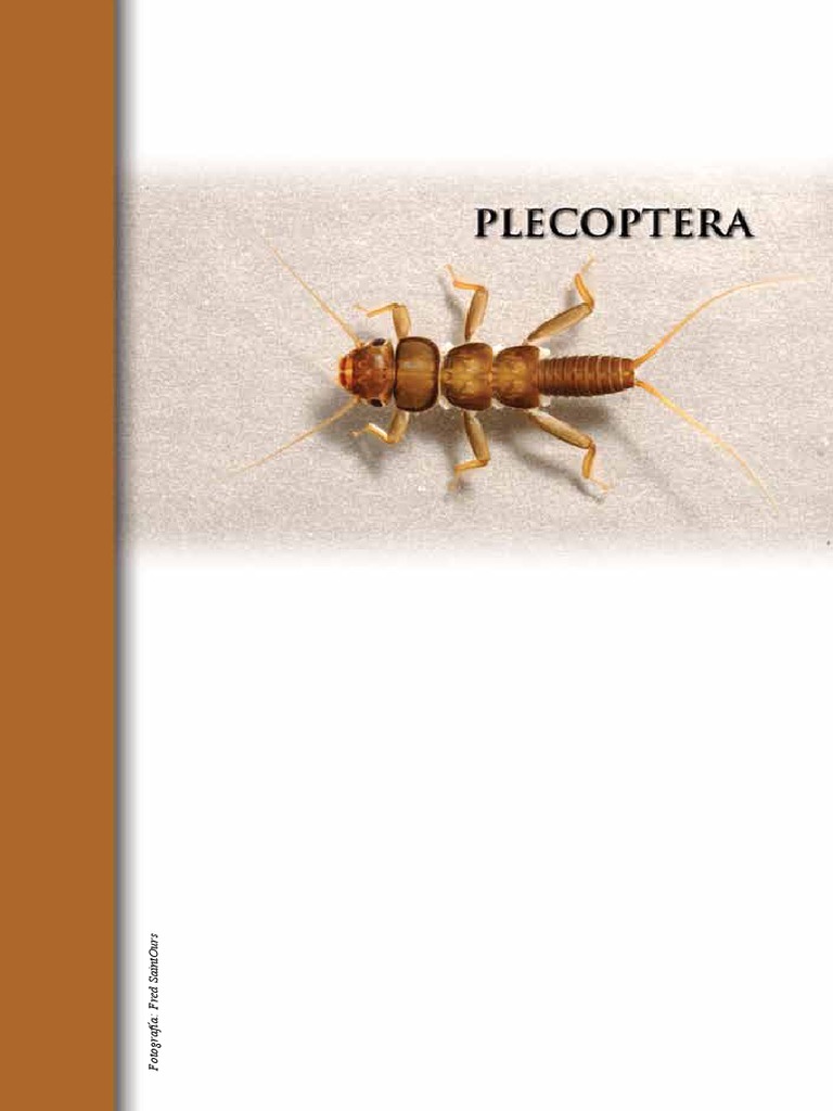Ciclo de Vida y Ecología de Plecoptera | PDF | Insectos | Zoología