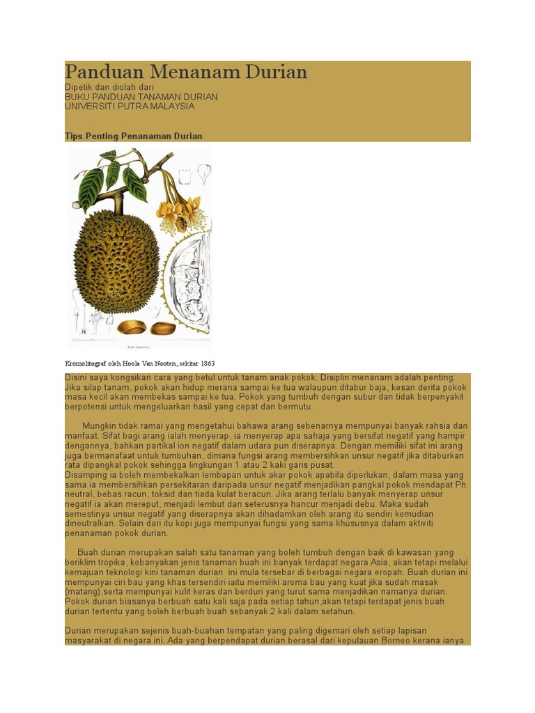 Panduan Lengkap Menanam Durian | PDF