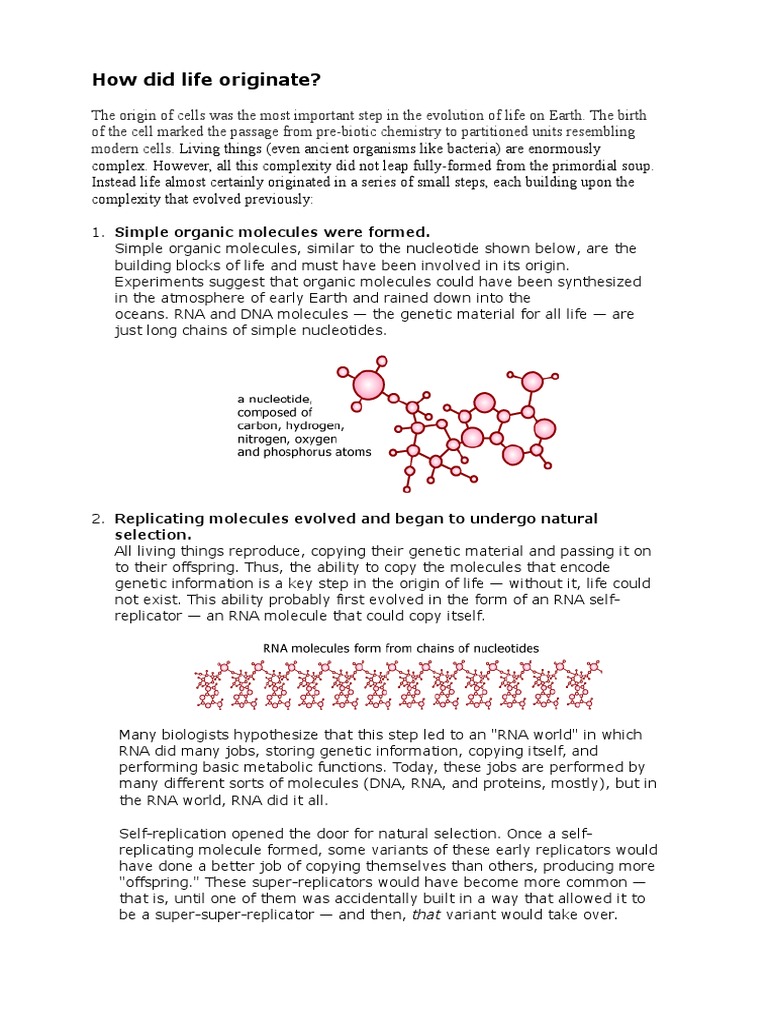 How Did Life Originate | PDF | Abiogenesis | Life