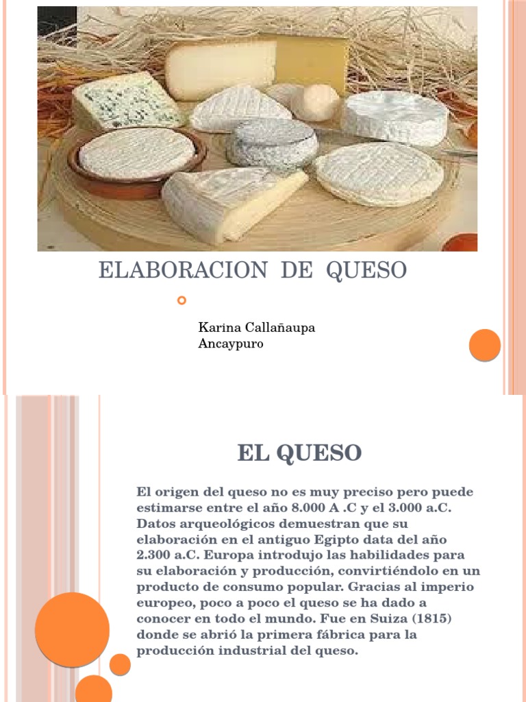 Elaboracion de Queso | PDF | Queso | Leche