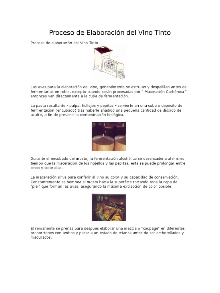 Proceso de Elaboración Del Vino Tinto | PDF | Vino | Vinificación