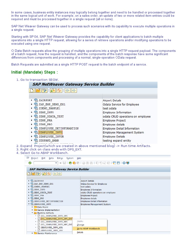 Batch Operations in SAP Gateway Services | PDF | Hypertext Transfer Protocol | Communications ...
