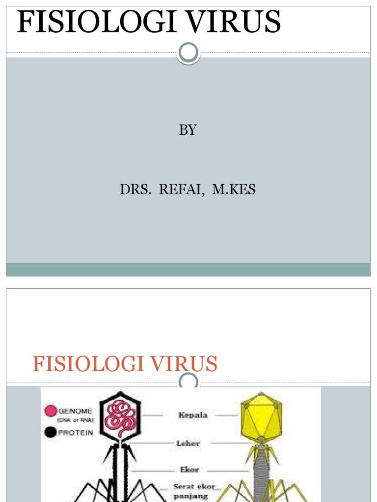Fisiologi Virus | PDF