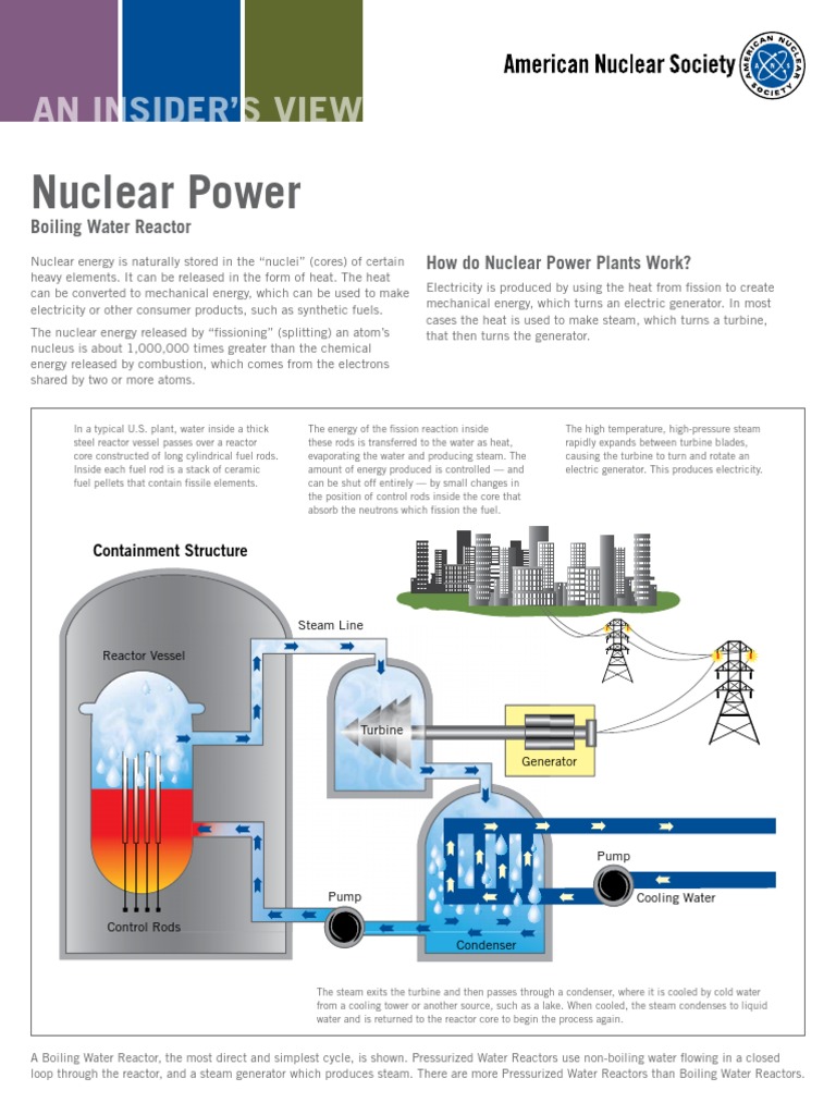 Nuclear Power: An Insider'S View | PDF | Nuclear Reactor | Fuels