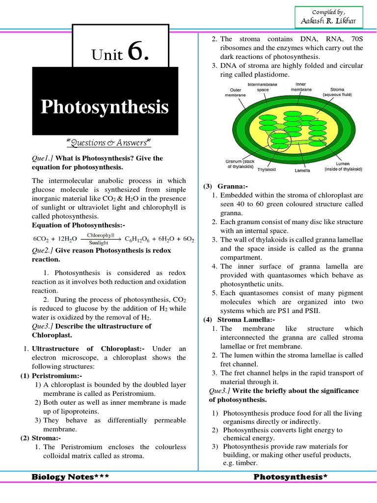 Photosynthesis Class 12 | PDF | Photosynthesis | Photodissociation