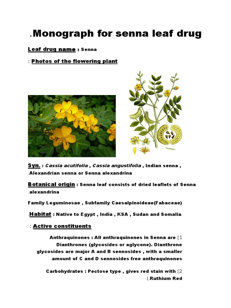 Senna Leaf Drug Monograph | PDF | Nausea | Drugs