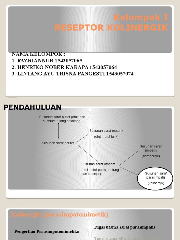 Reseptor Kolinergik dan Fungsinya | PDF