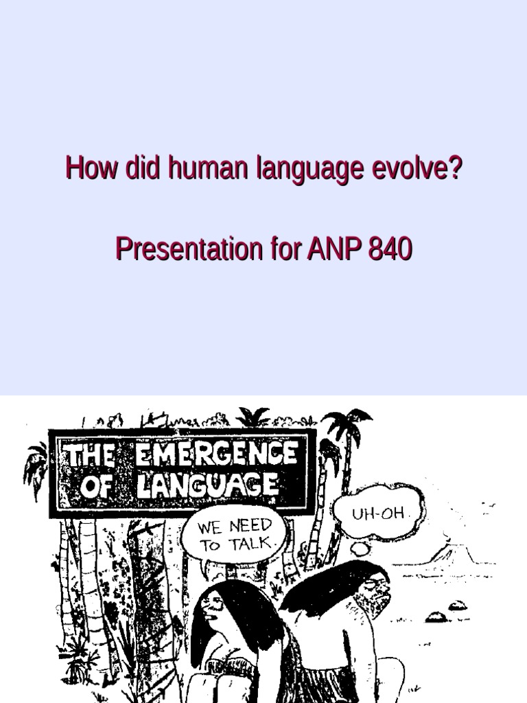 How Did Human Language Evolve? Presentation For ANP 840 | PDF | Homo ...