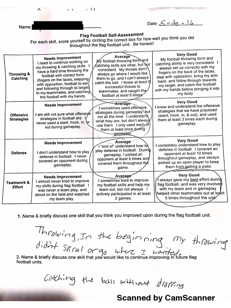 Ms Flag Football Self-Assessment | PDF