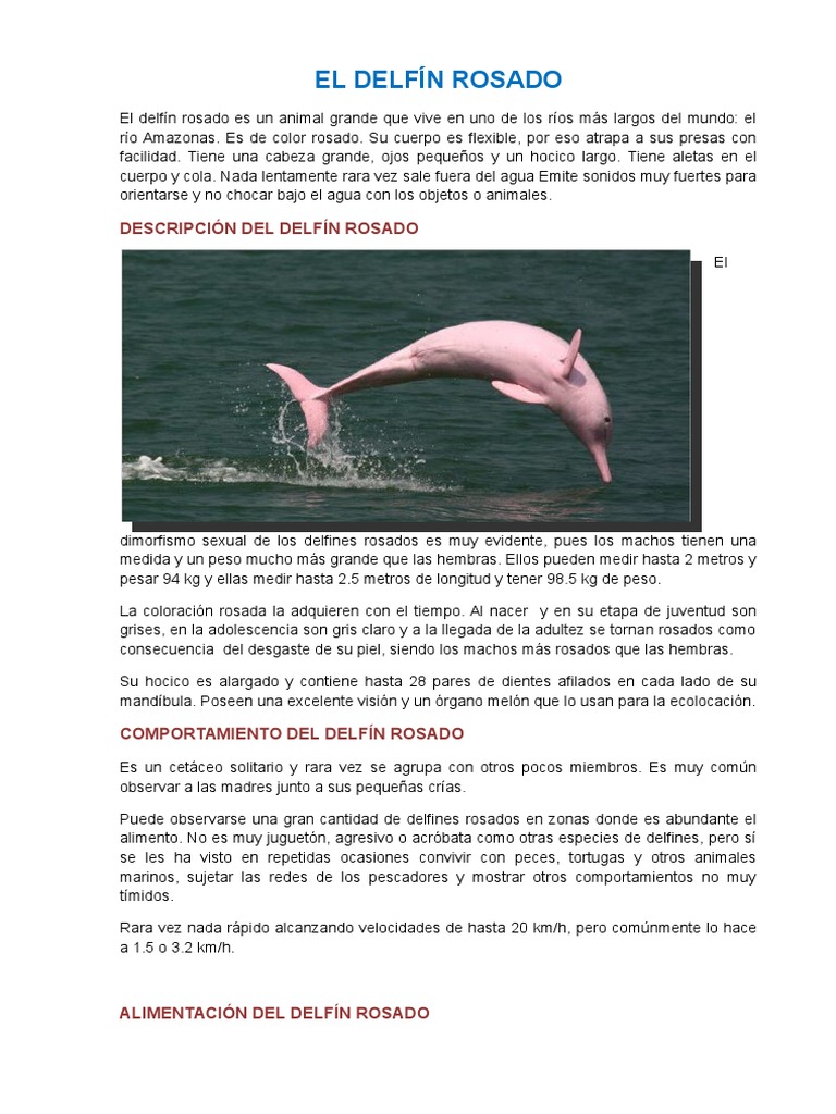 Ficha técnica del delfín rosado | PDF | Naturaleza