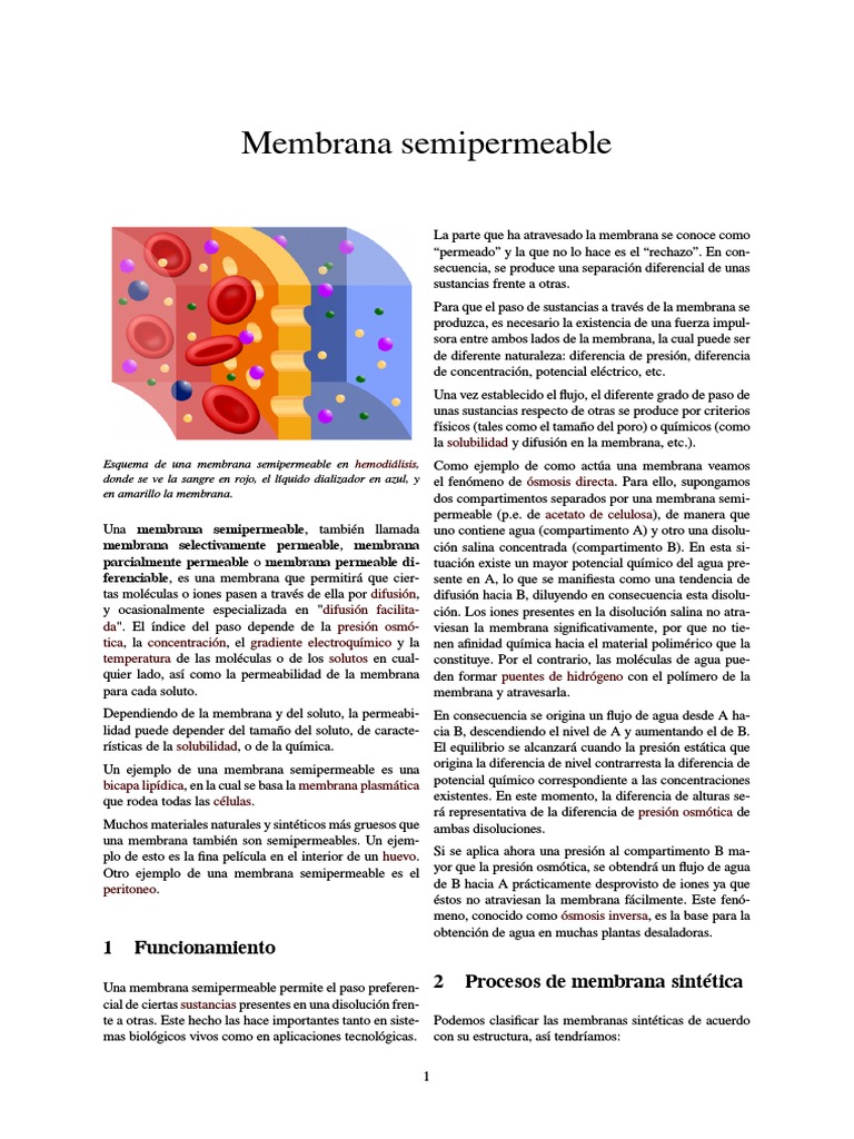 Membrana Semipermeable | Biofísica | Biología Molecular