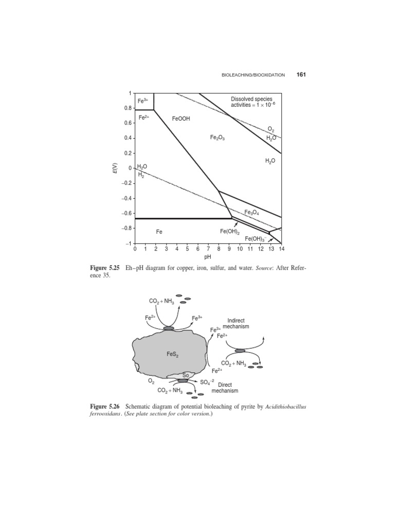 Eh-PH Diagram For Copper, Iron, Sulfur, and Water | PDF