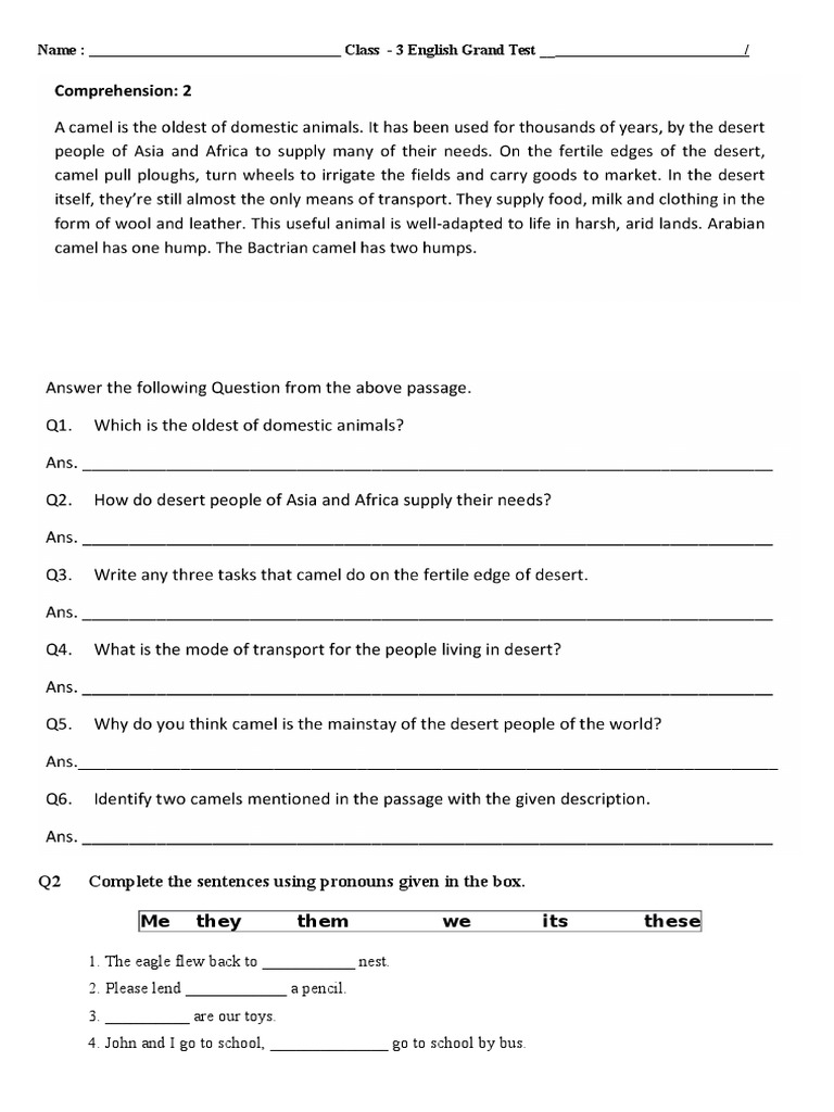 Class 3 English Grammar Test | PDF | Morphology | Syntactic Relationships
